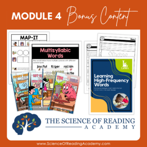 Science of Reading Academy